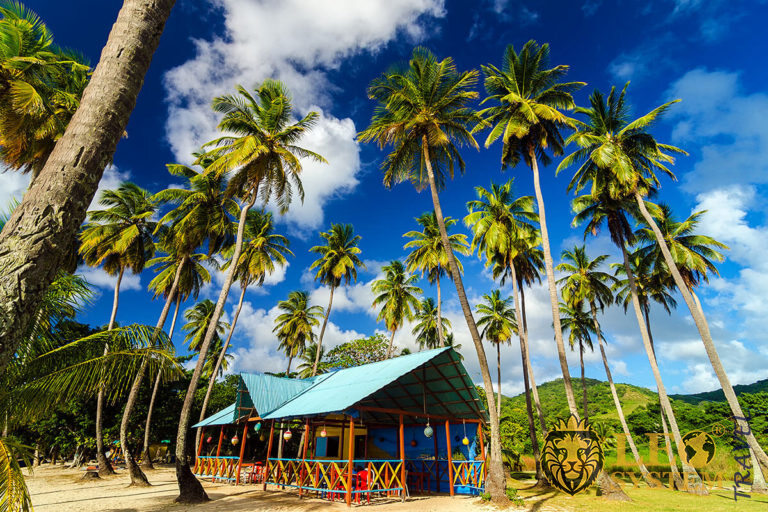 What are The Traditions and Customs in Colombia? | LeoSystem.travel